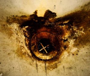 Warning Signs of Mold Growth in Your Drains